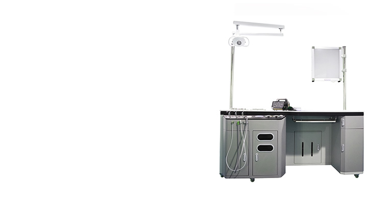 ENT Workstation System